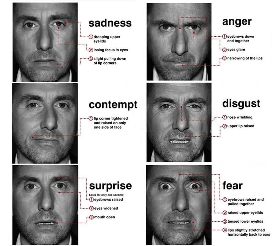 Emotions Revealed: Resumen en Español